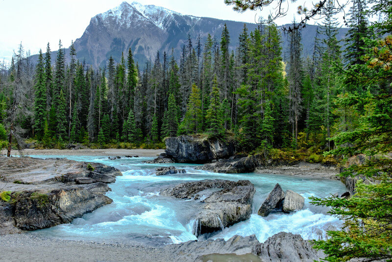 Christy Venable - Downtown - Levin Rinke Realty