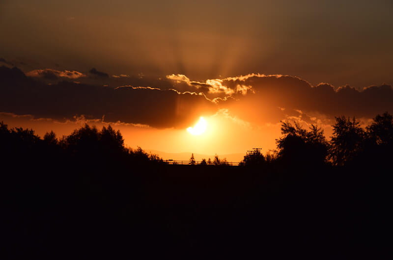 Christy Venable - Downtown - Levin Rinke Realty